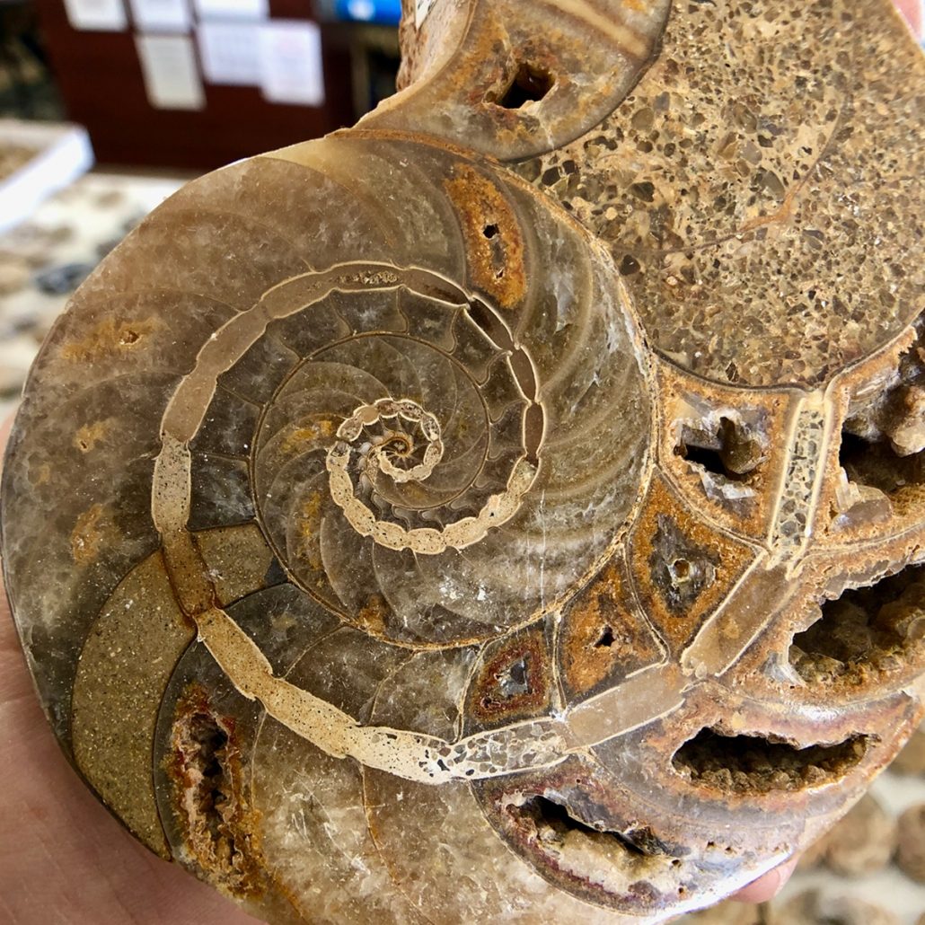 Product Descriptions - Enter the Earth ~ Wholesale